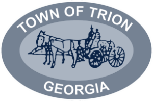 Qualifying Dates Announced for Town of Trion’s 2025 Municipal Election ...