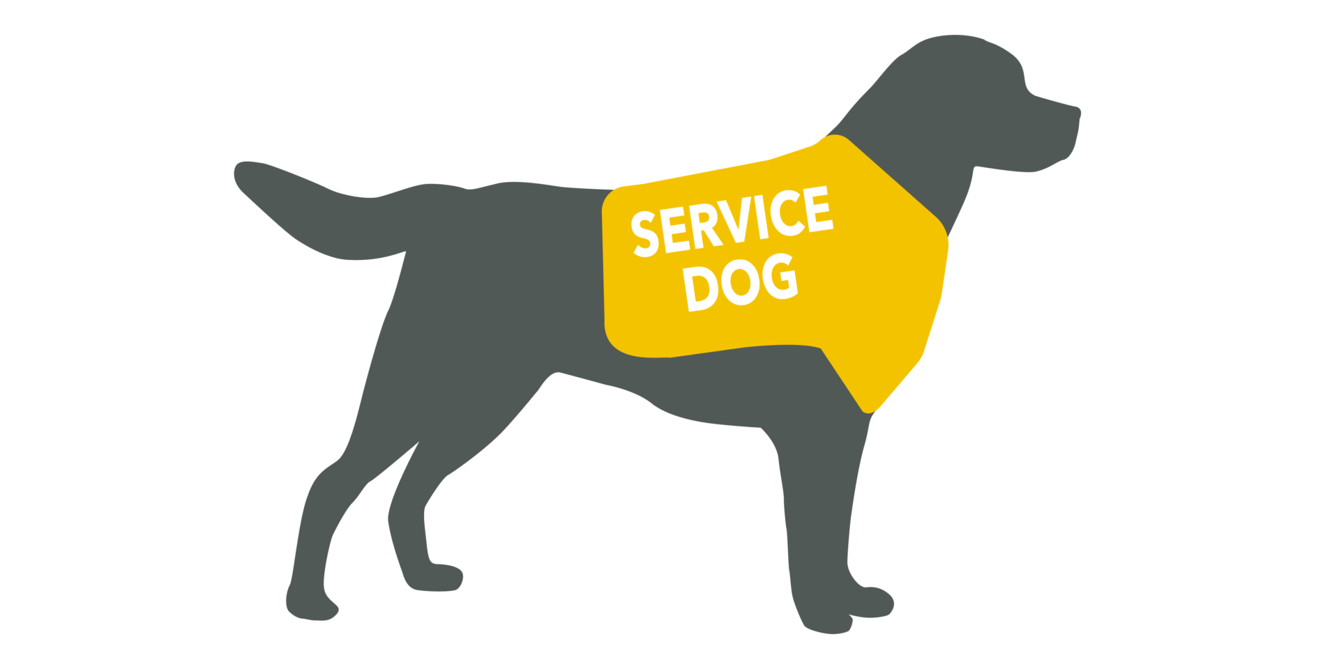 U.S. DOT Sends Final Rule on Service Animals on Flights - AllOnGeorgia