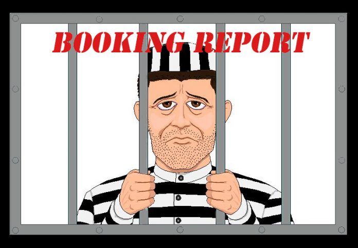 02 28 2020 Booking Report For Bulloch County Allongeorgia
