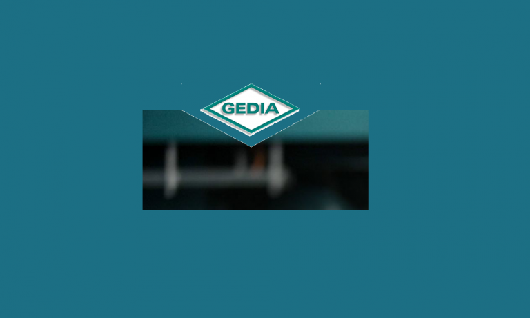 German Automotive Parts Manufacturer GEDIA to Locate First Southeast U ...