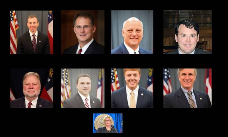 Georgia Senators Applaud State of Texas Election Challenge - AllOnGeorgia