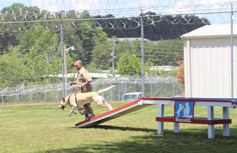 Six Colwell Probation Detention Center Detainees Graduate “Rescued” Dog ...