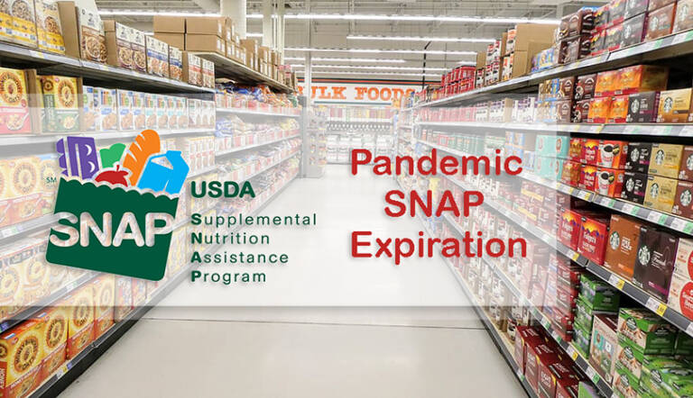 Georgia's Enhanced P-SNAP Benefits Expire May 31 - AllOnGeorgia