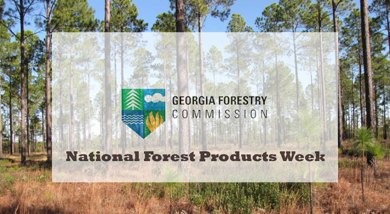 Georgia Marks National Forest Products Week October 17-23 - AllOnGeorgia