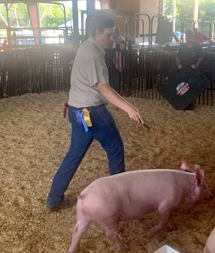 Annual Pig Show & Auction This Evening | AM 1180 Radio