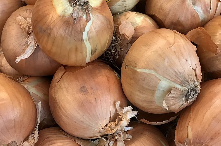 Vidalia Onions Headed for Shelves April 17 Georgia Agriculture ...