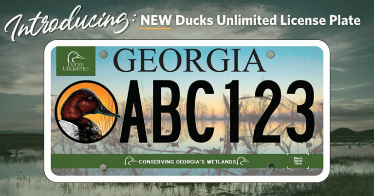 New Georgia Ducks Unlimited License Plate Available - AllOnGeorgia