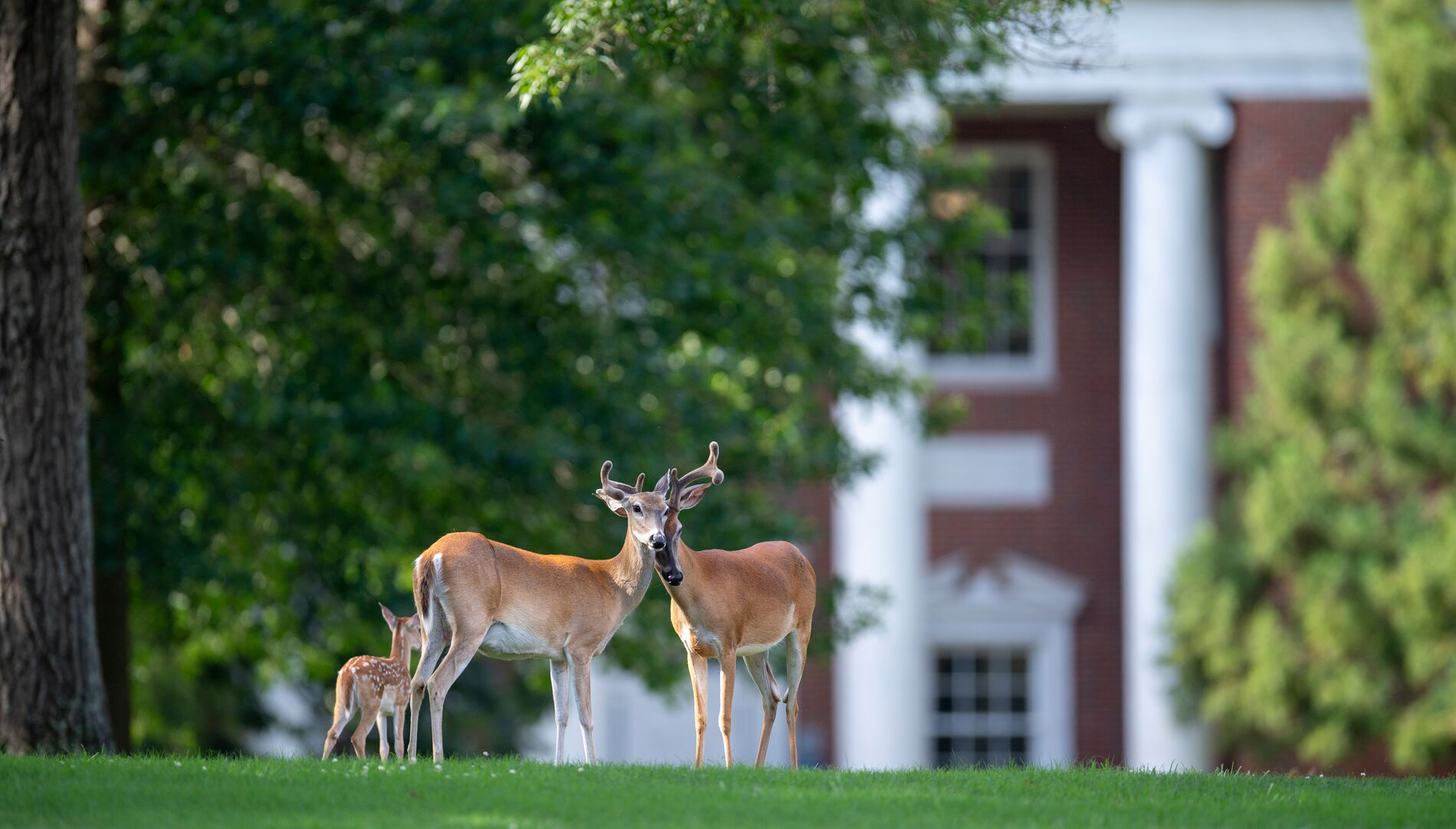 Berry College Launches New Inclusive Post Secondary Education Program