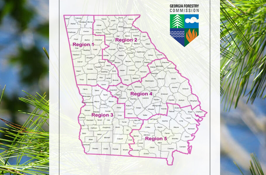 Georgia Forestry Commission Strengthens Regional Focus - AllOnGeorgia