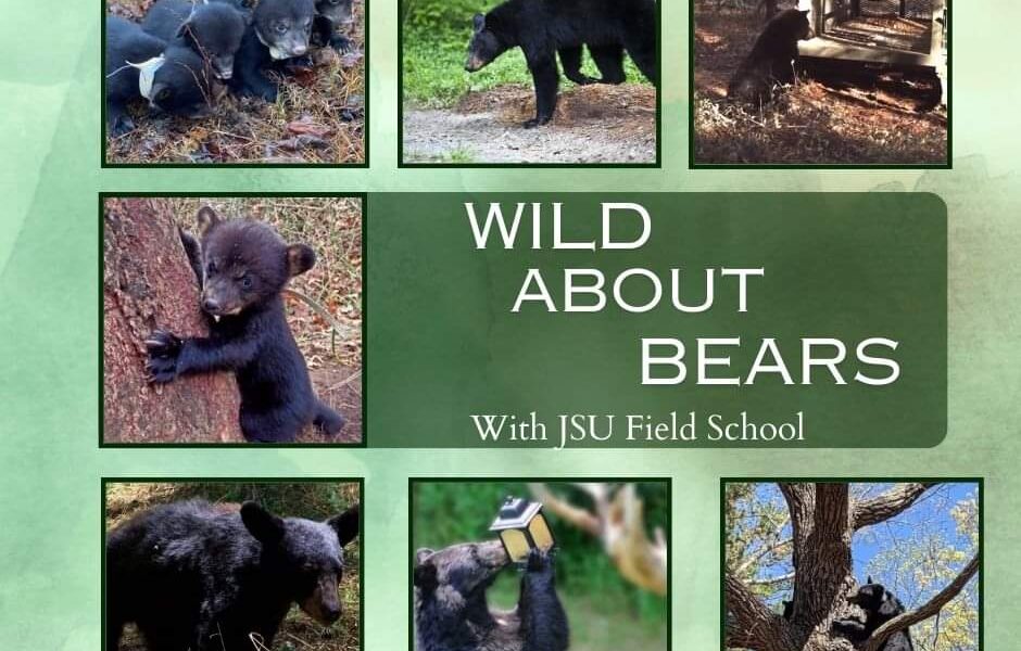 Alabama Black Bear Archives - AllOnGeorgia