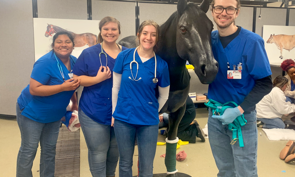 OTC Vet Tech Students Gain Valuable Experience at Large Animal Skills ...
