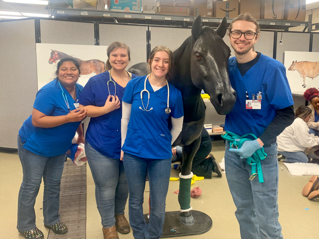 OTC Vet Tech Students Gain Valuable Experience at Large Animal Skills ...