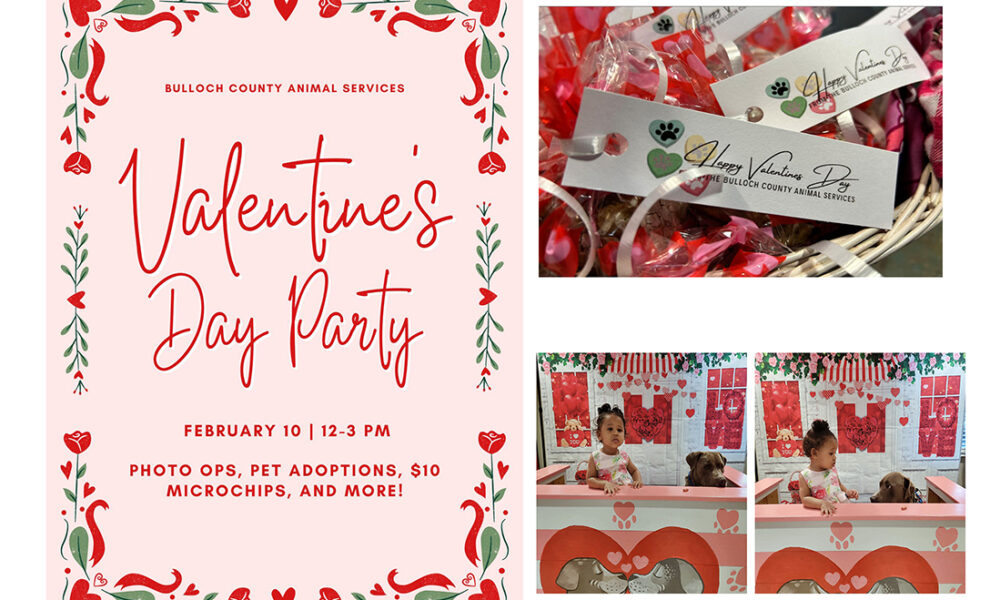 Bulloch Animal Shelter Valentine's Day Party & Adoption Event February ...