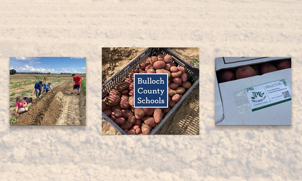 Rooted in Nutrition: Potatoes from Mack Family Farm to enrich school ...