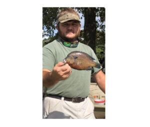 Bulloch County Angler Reels In New State Record Spotted Sunfish ...