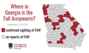 Fall Armyworms Confirmed in Northwest Georgia Counties - AllOnGeorgia