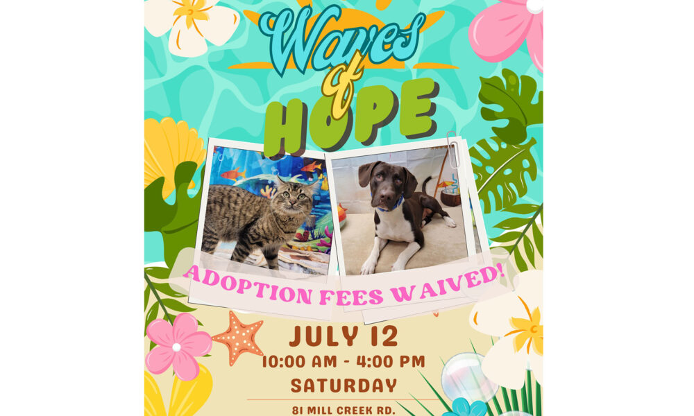 Waves of Hope: Clear the Shelter Adoption Event at Bulloch Co Animal ...